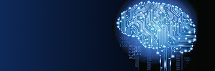evolutio - Structuring Machine Learning Projects